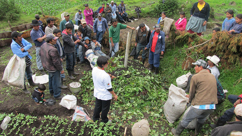 Proyectos Comunitarios – Comisión Presidencial de Apoyo al Desarrollo ...